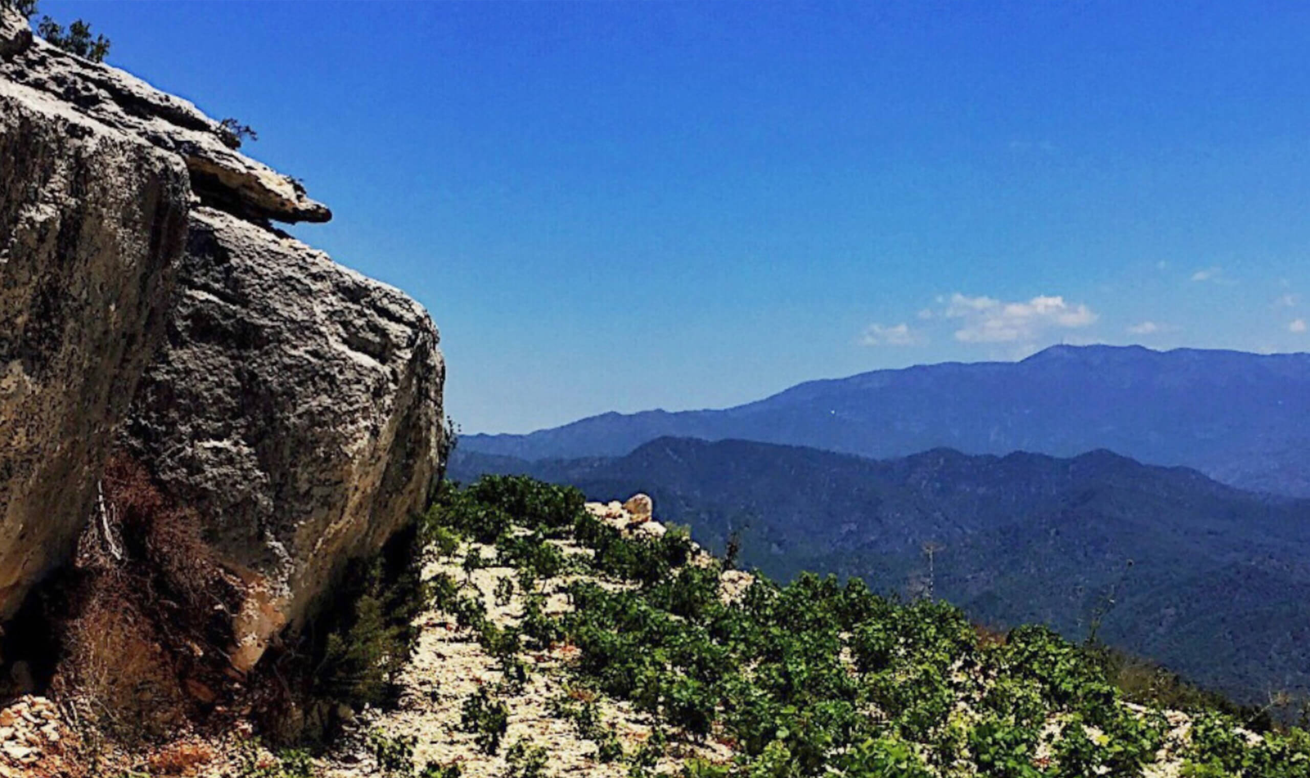 Lemesos | Wine Region Guide