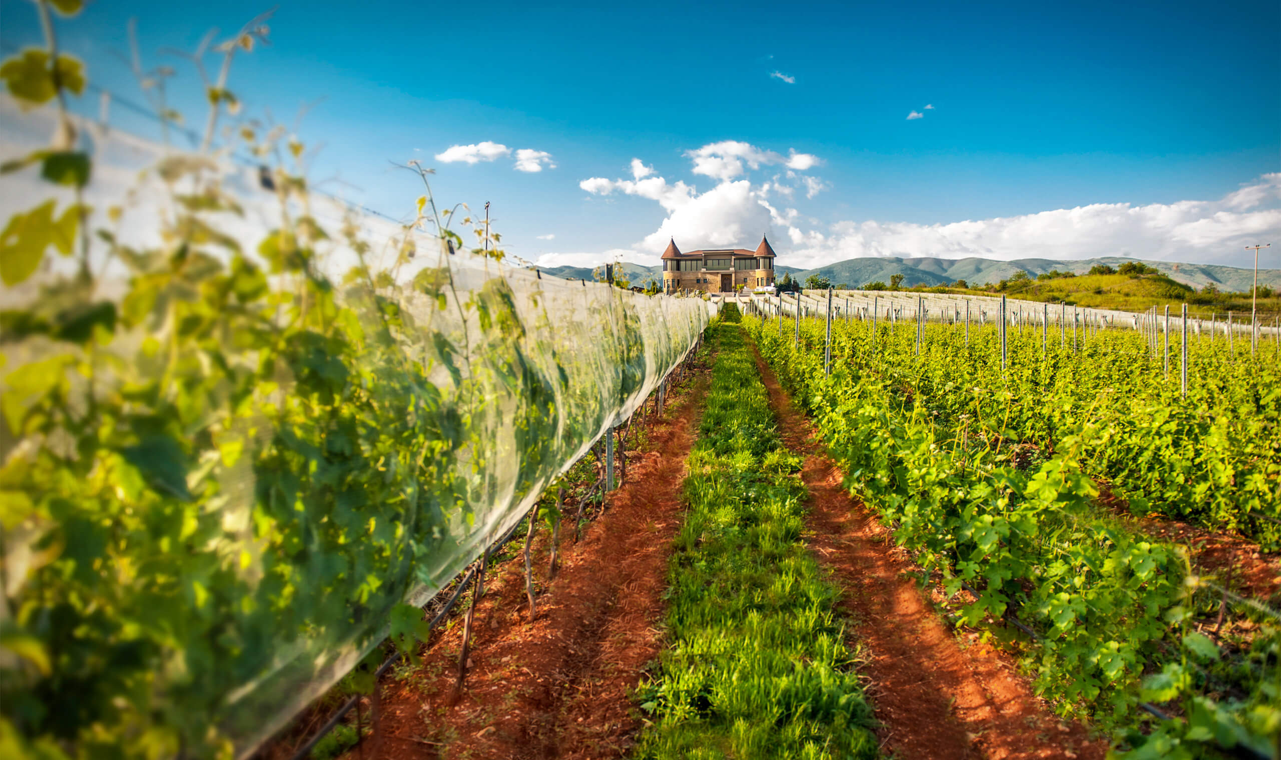 Kamnik Winery | Vivino