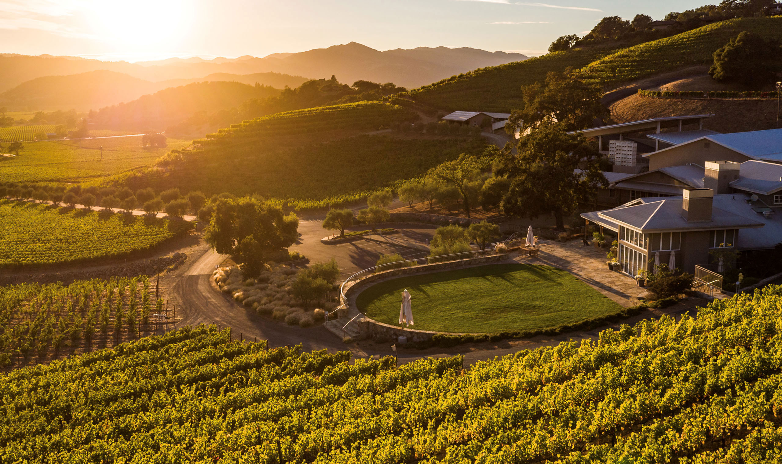 Shafer Winery | Vivino