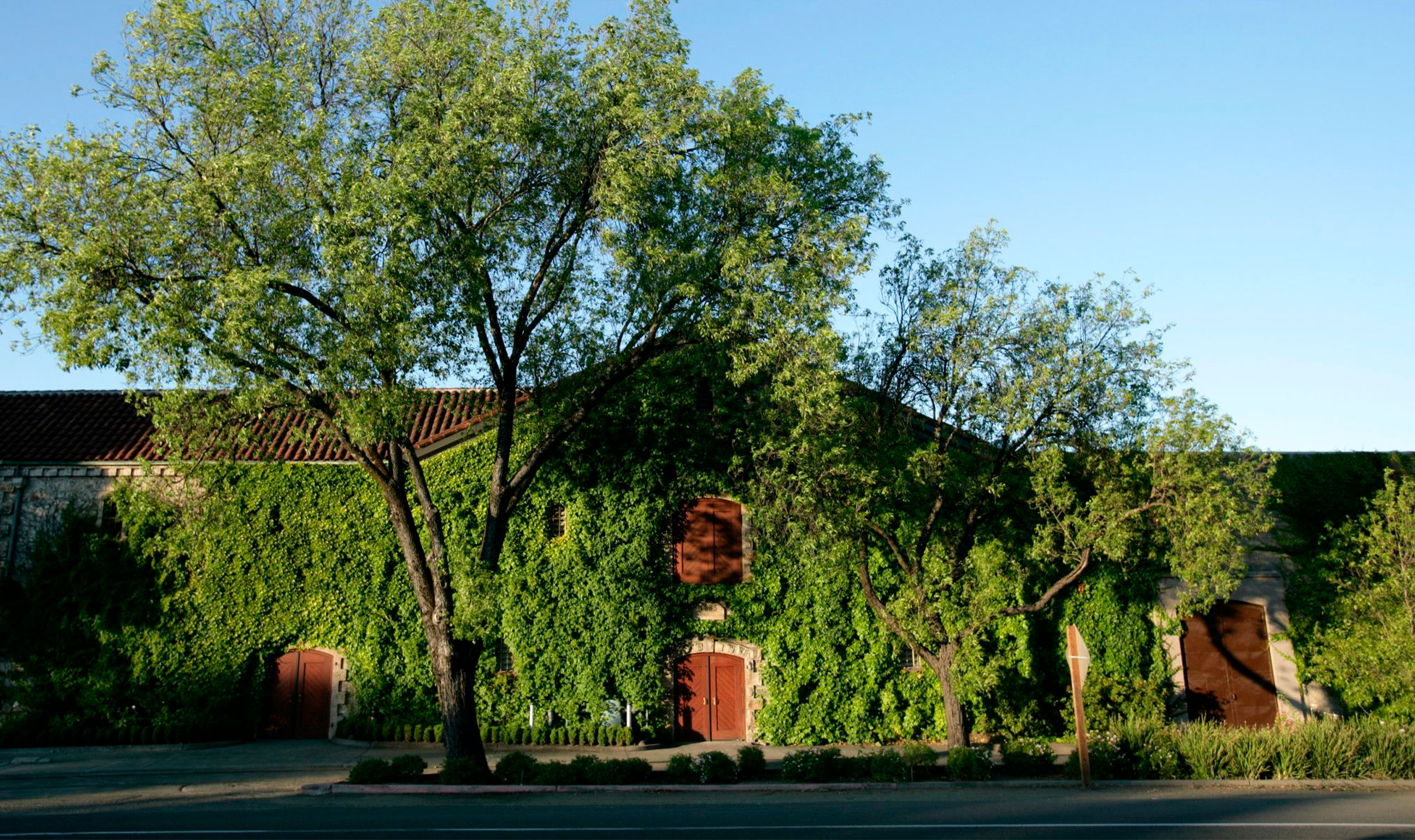 Beaulieu Vineyard (BV) Winery | Vivino