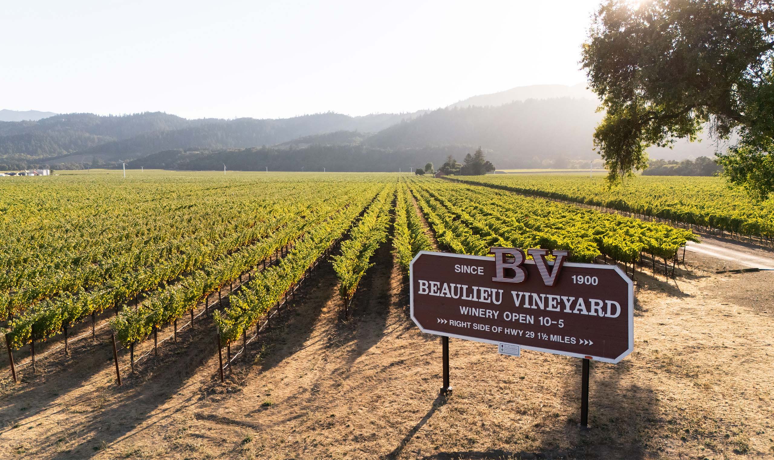 Beaulieu Vineyard (BV) Winery | Vivino
