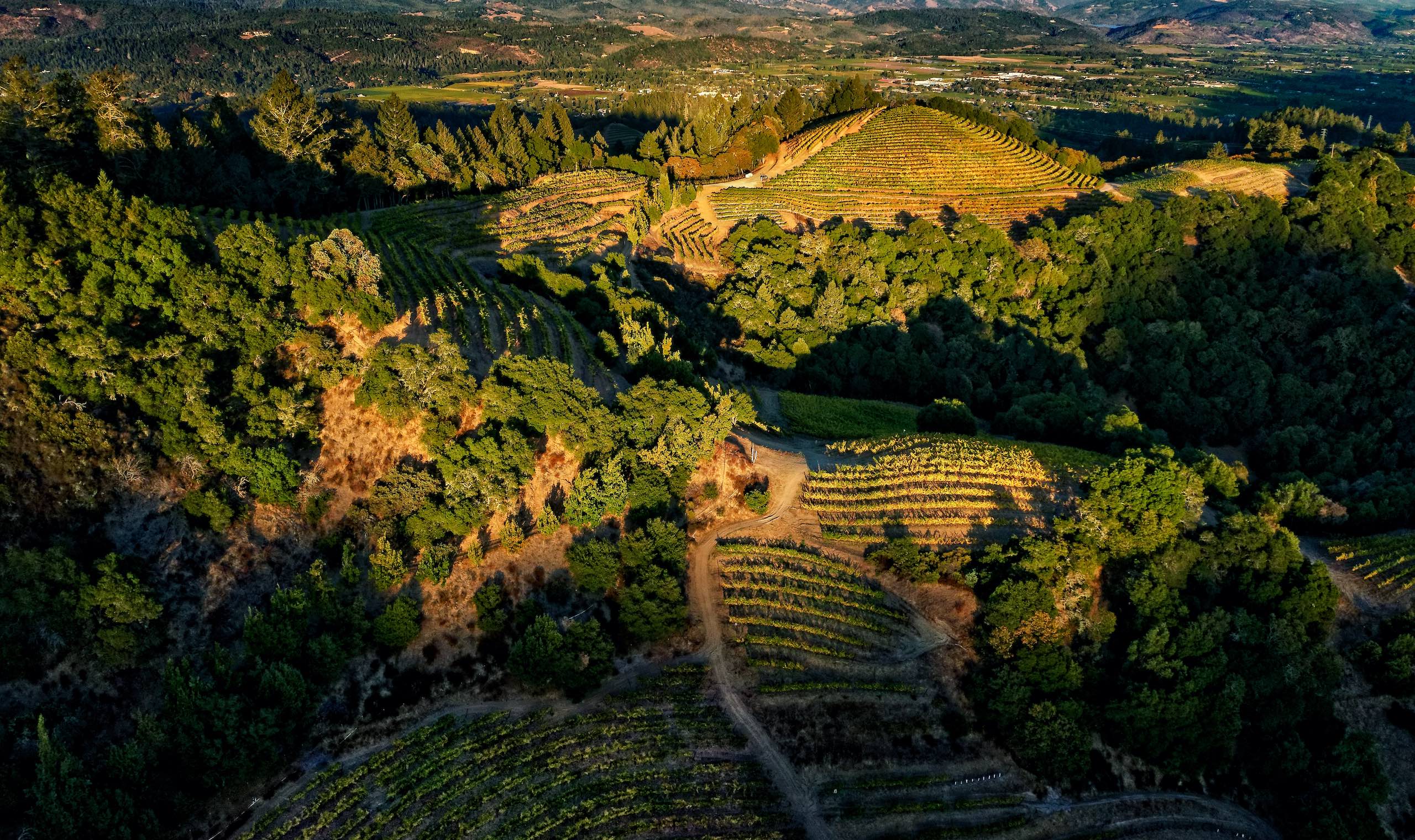 Newton Winery | Vivino