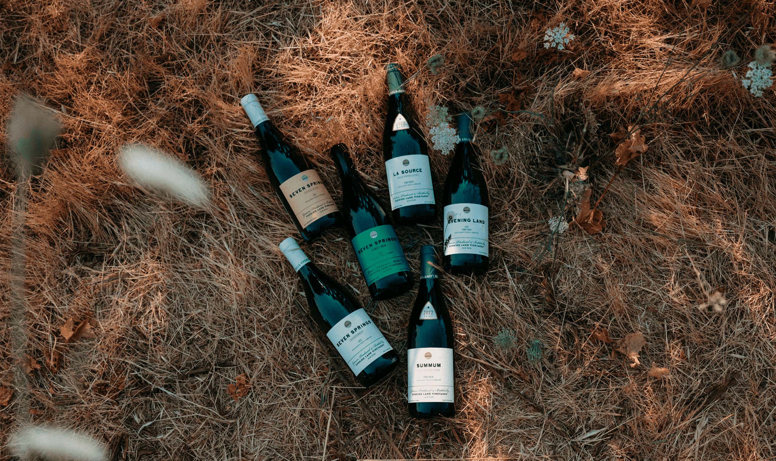 Evening Land | Winery