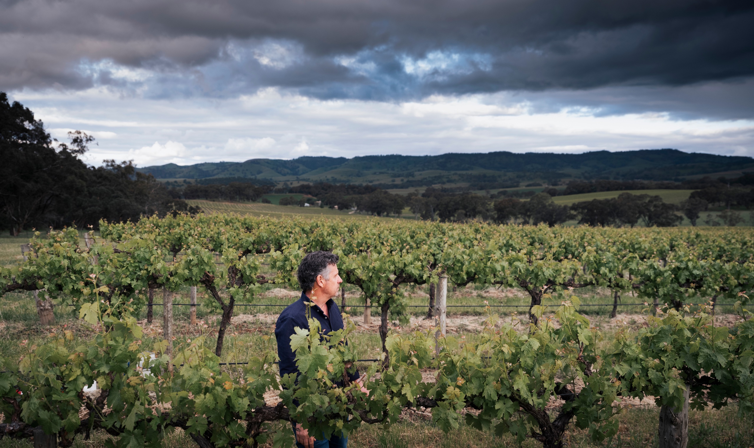 Grant Burge Wines Winery | Vivino