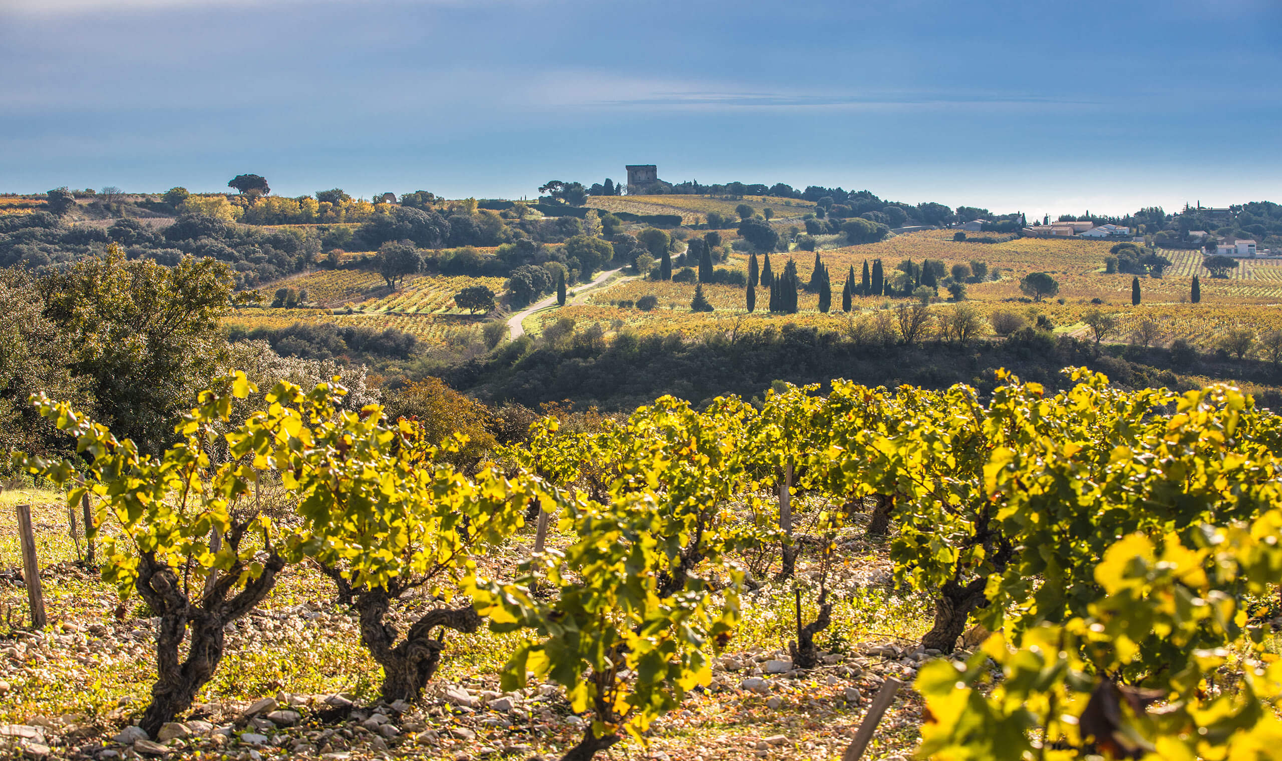 Xavier Vignon Winery | Vivino