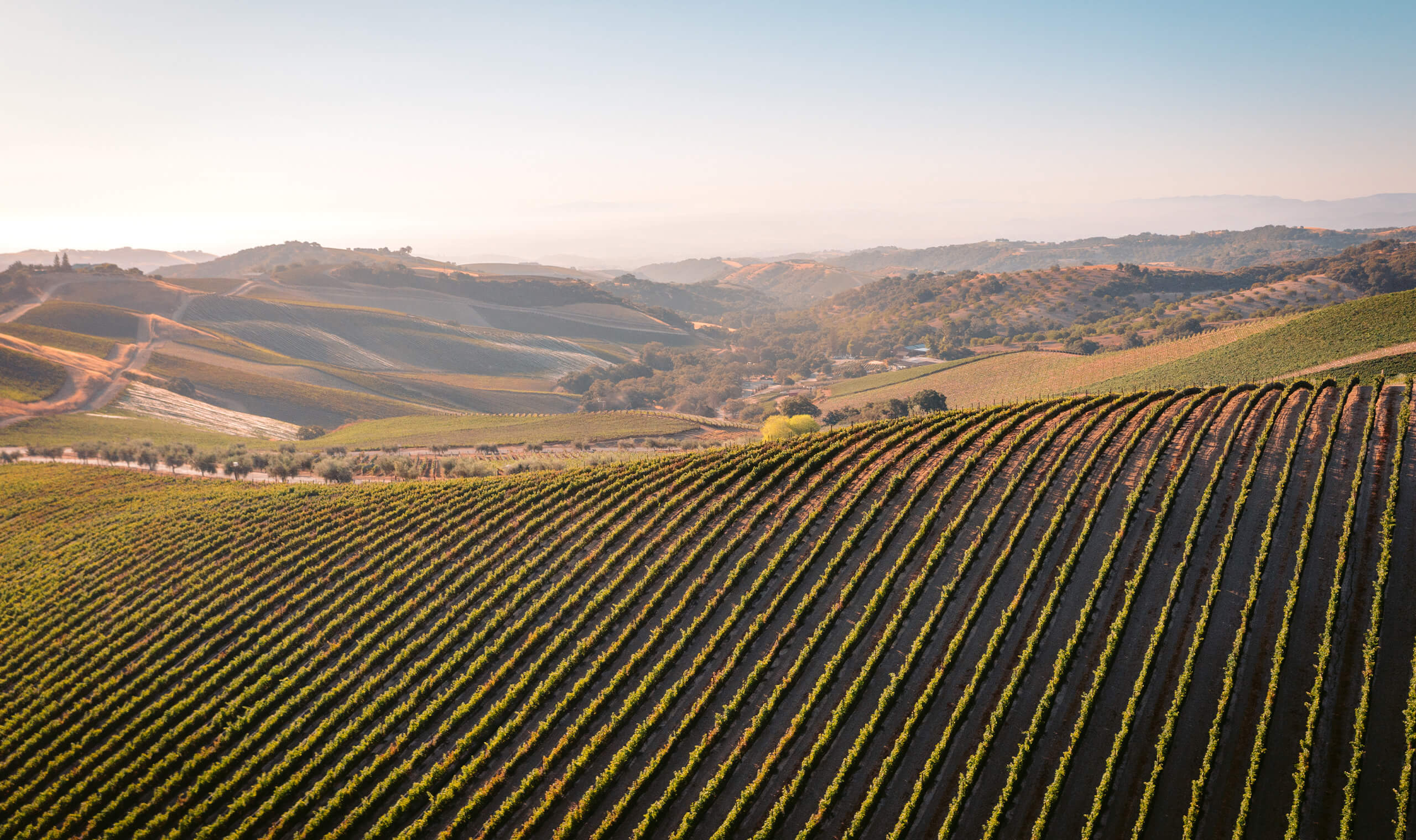 DAOU Winery | Vivino