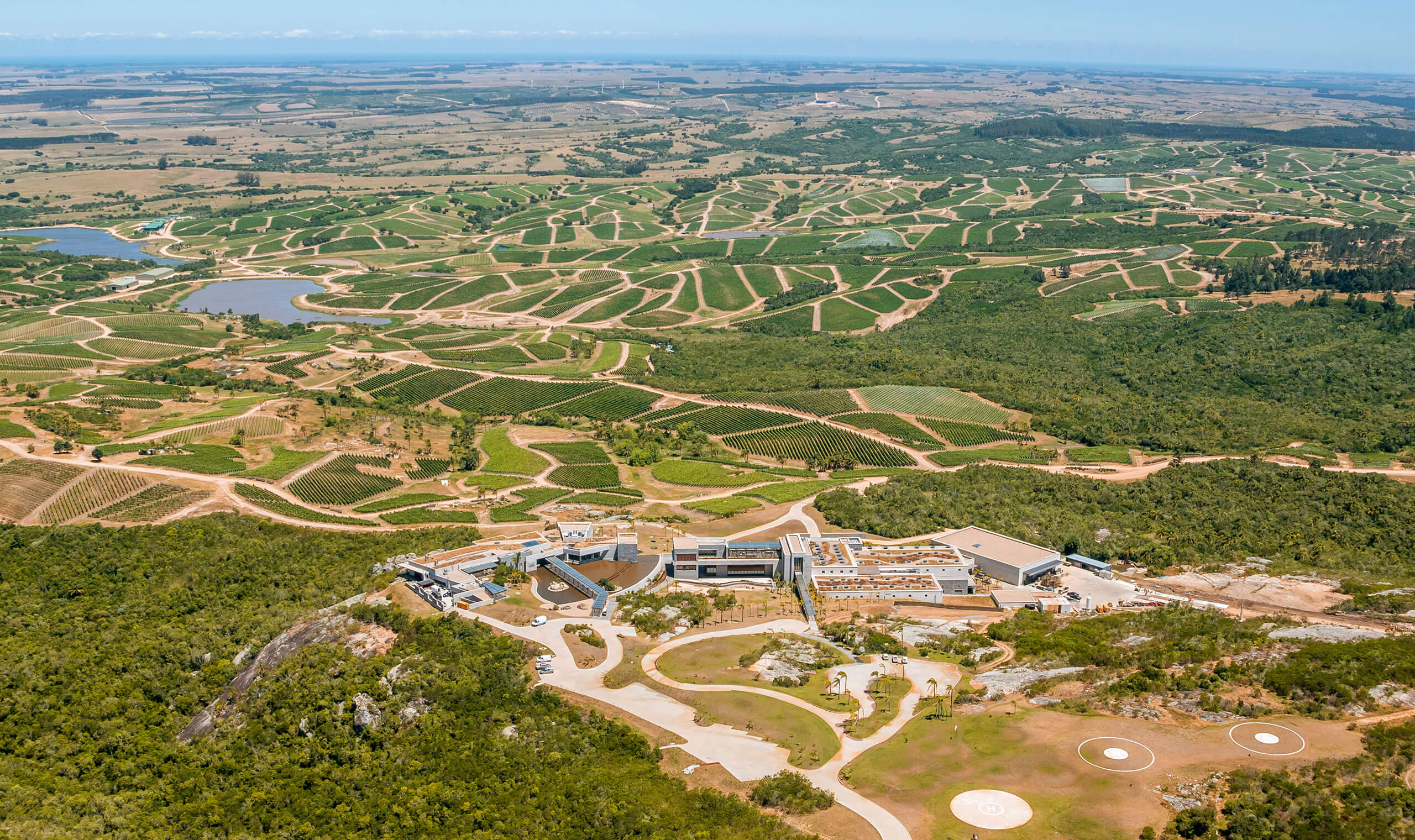 Bodega Garzón Winery | Vivino