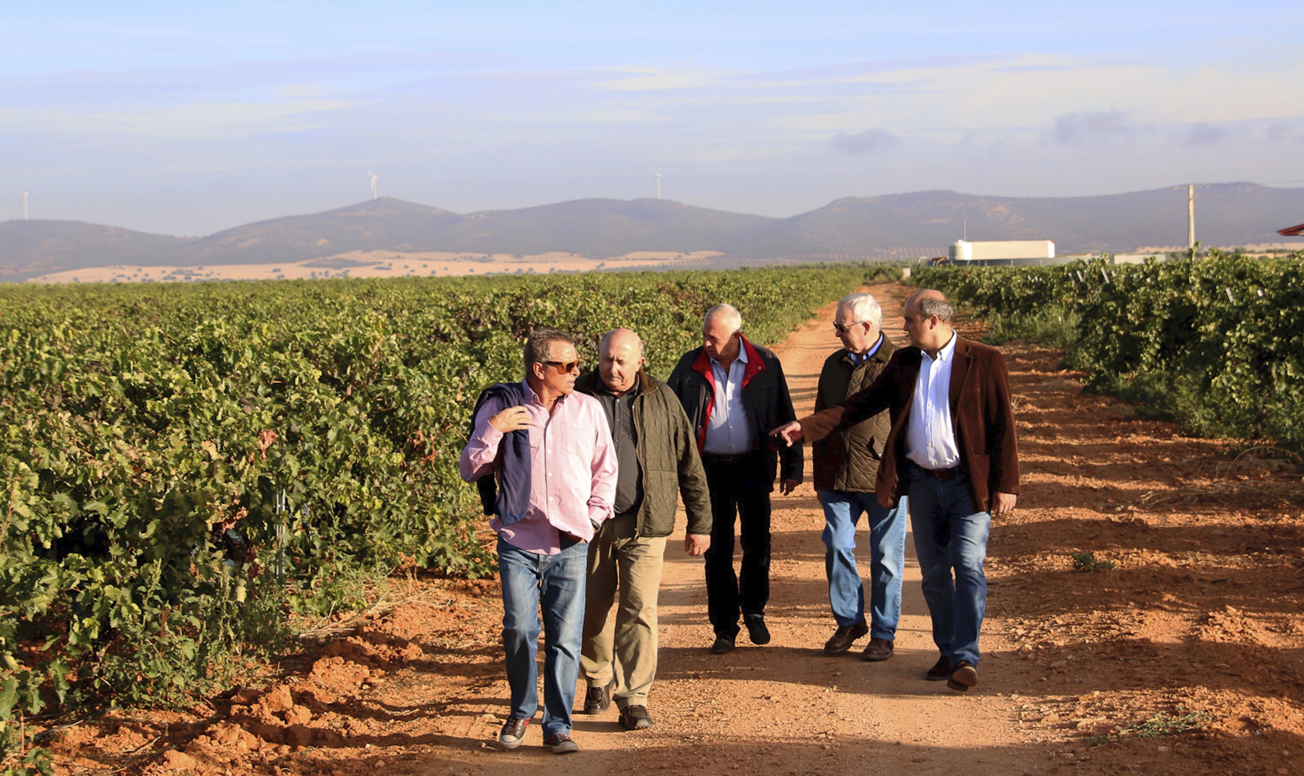 Félix Solís Winery | Vivino