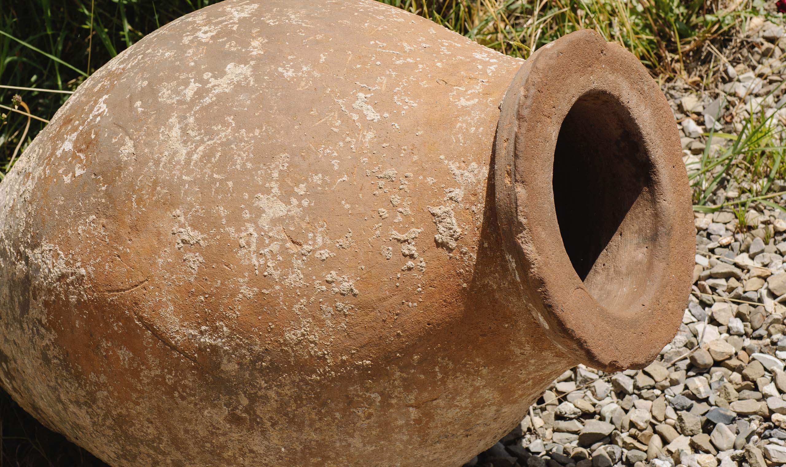 Teliani Valley Winery | Vivino