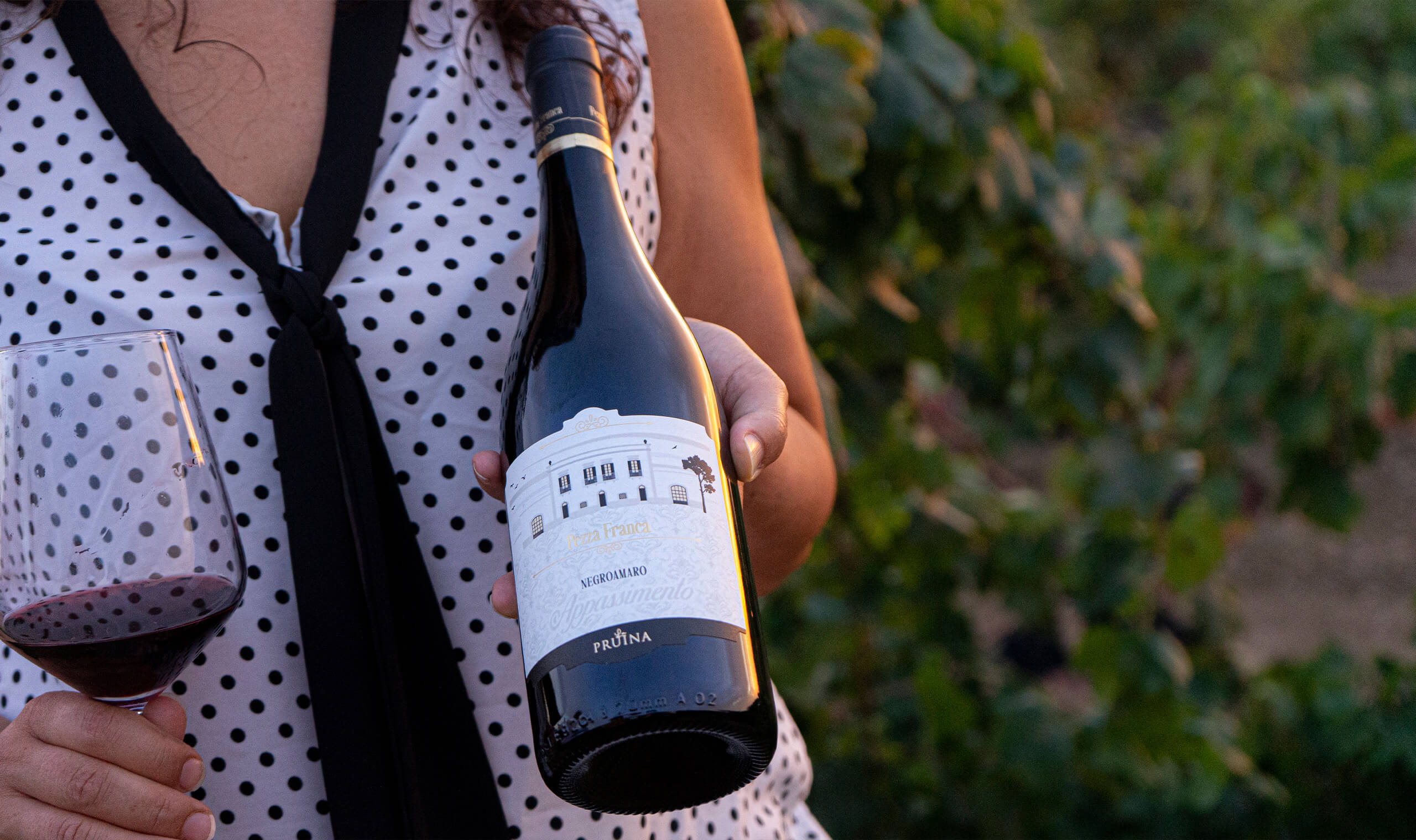 La Pruina Winery | Vivino