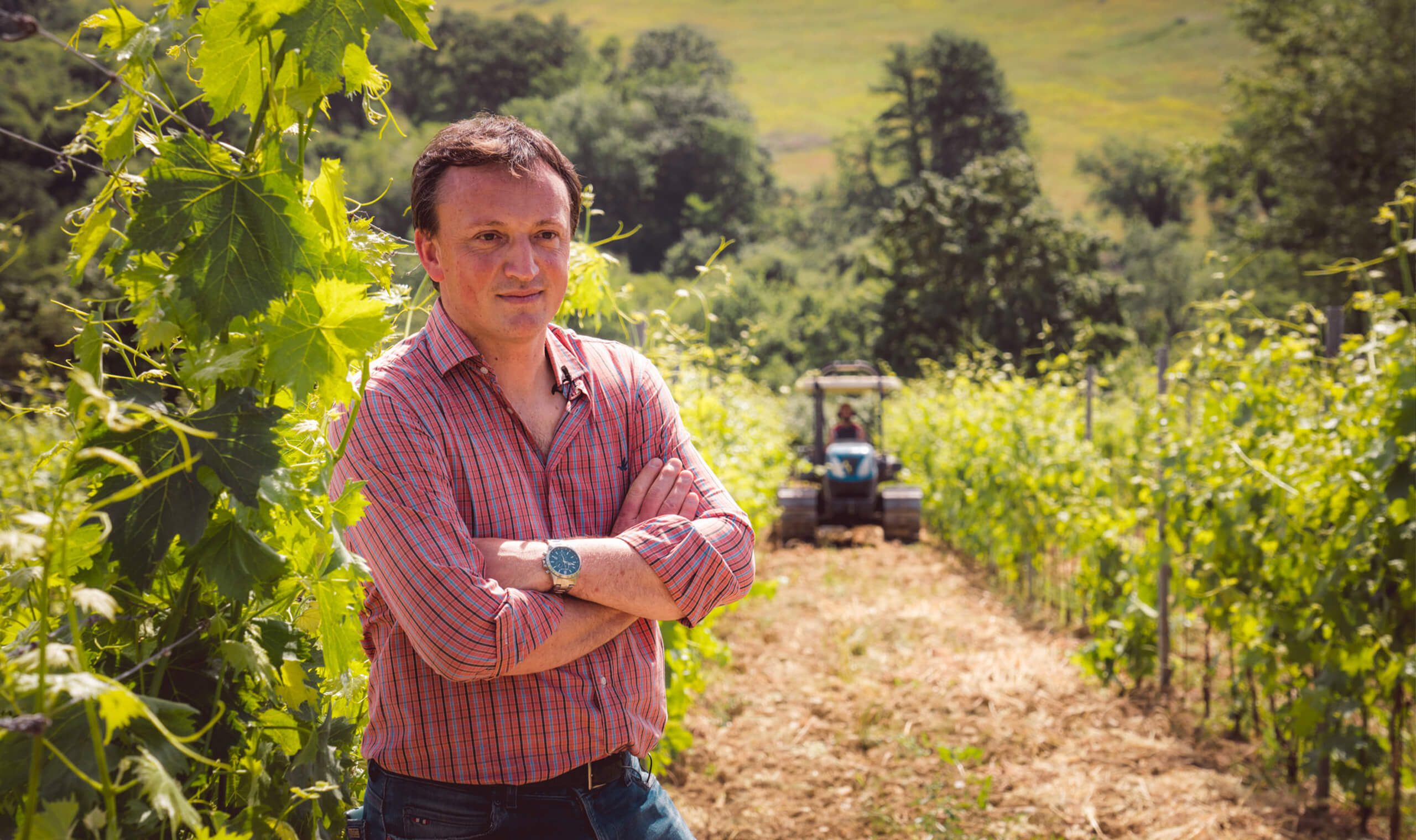 Valiano Winery | Vivino