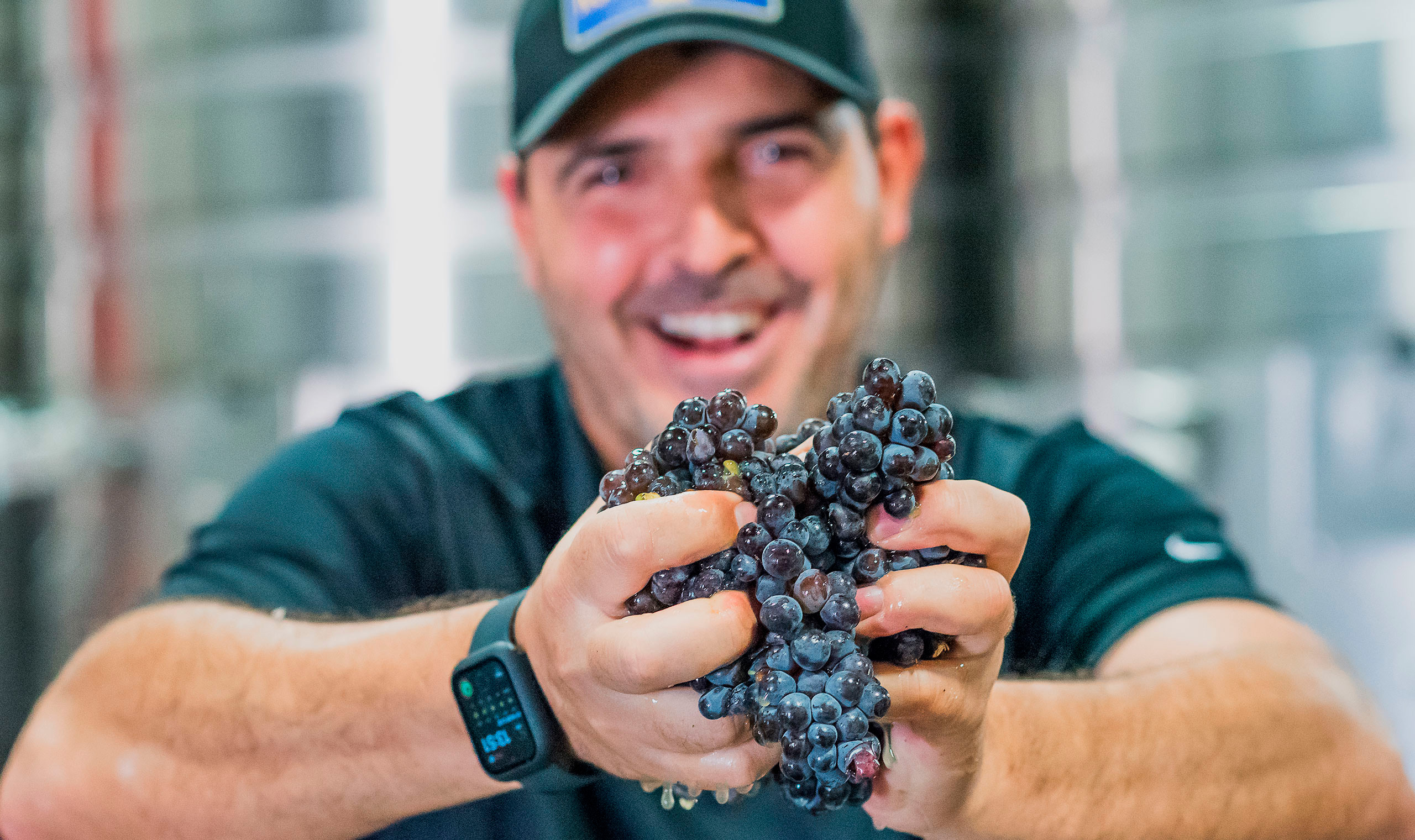 Meadowcroft Wines Winery | Vivino