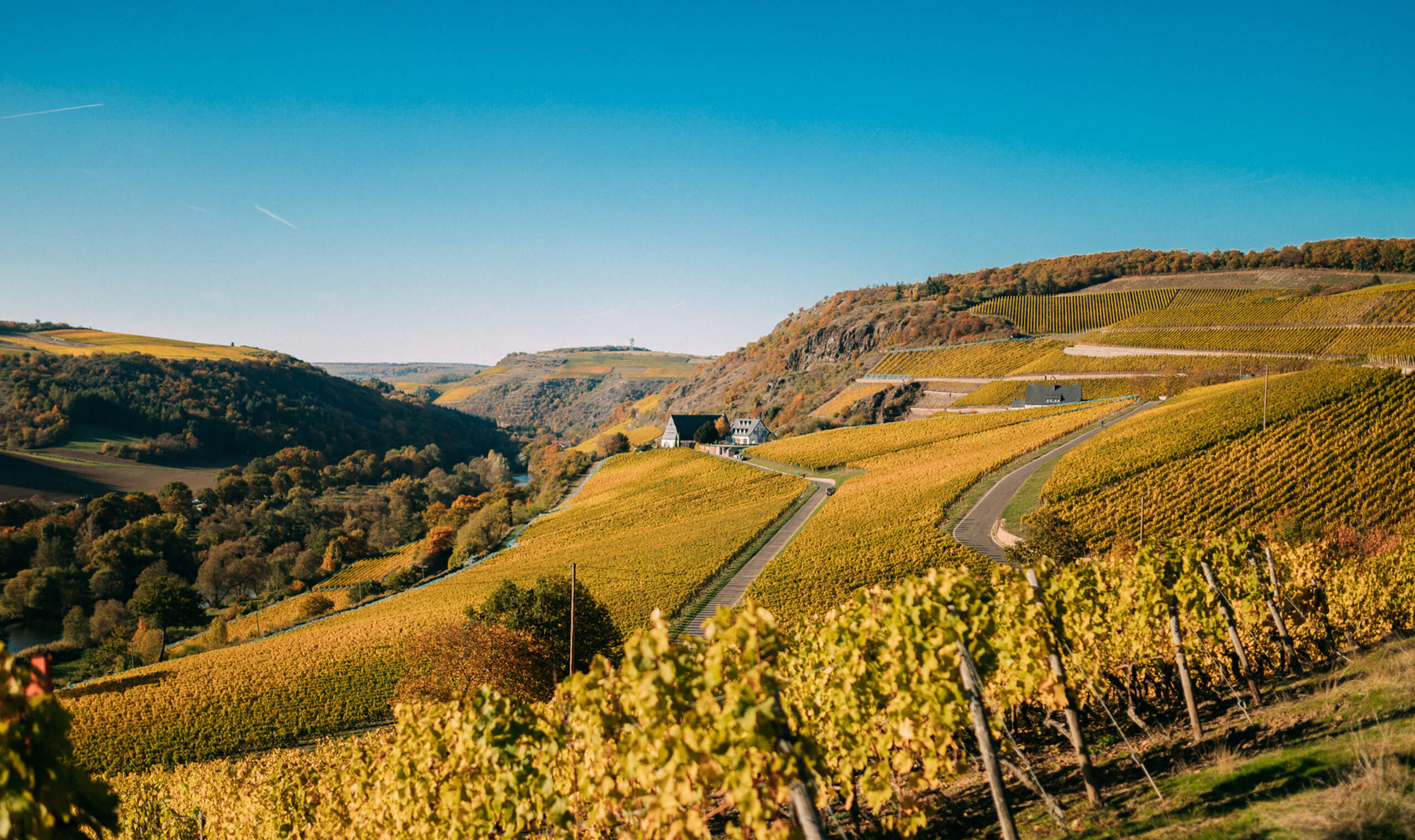 Gut Hermannsberg Winery | Vivino