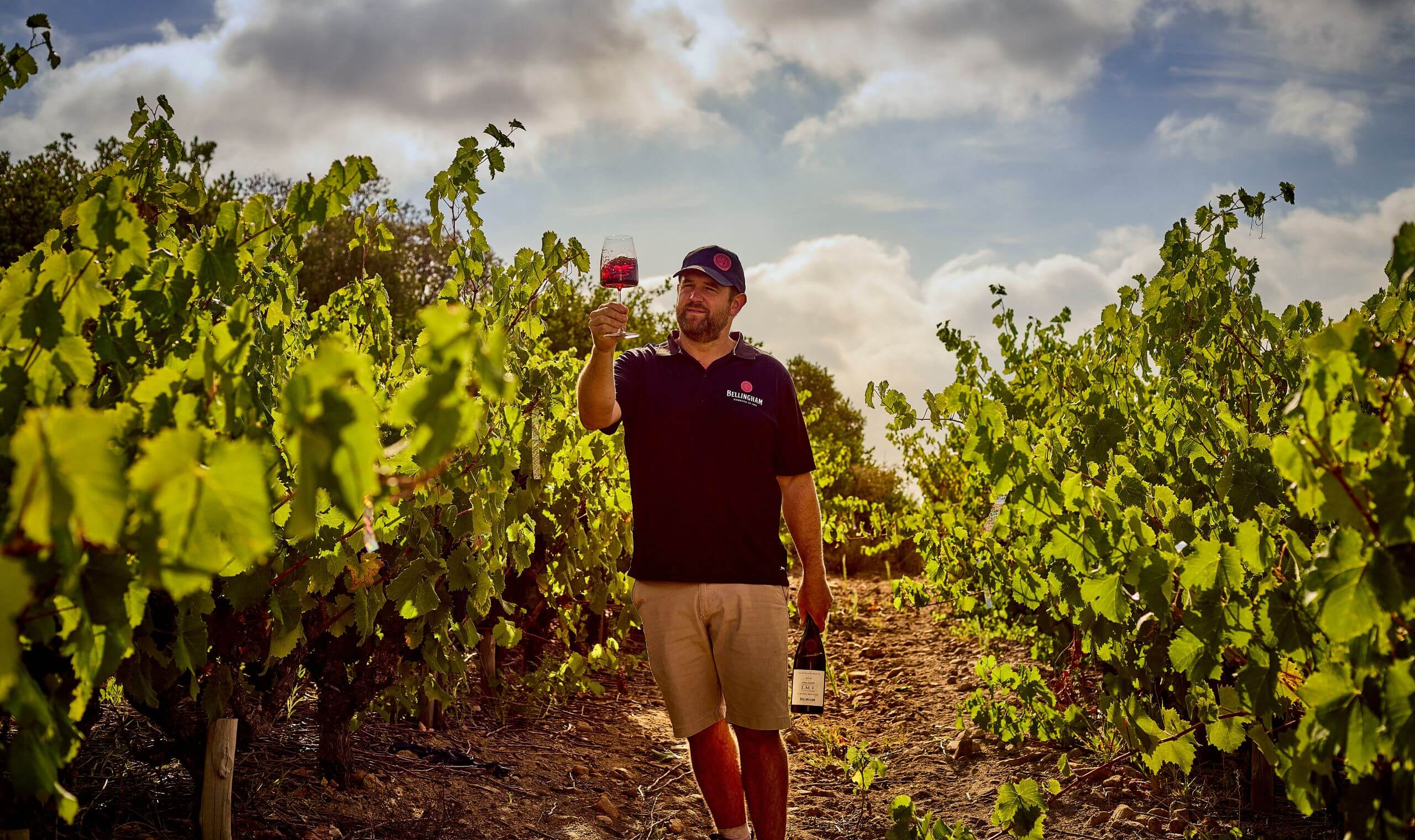 Bellingham Winery | Vivino