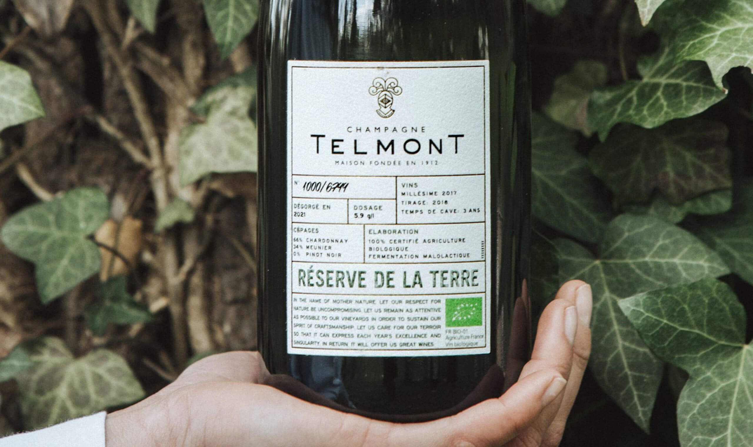 Champagne Telmont Winery | Vivino