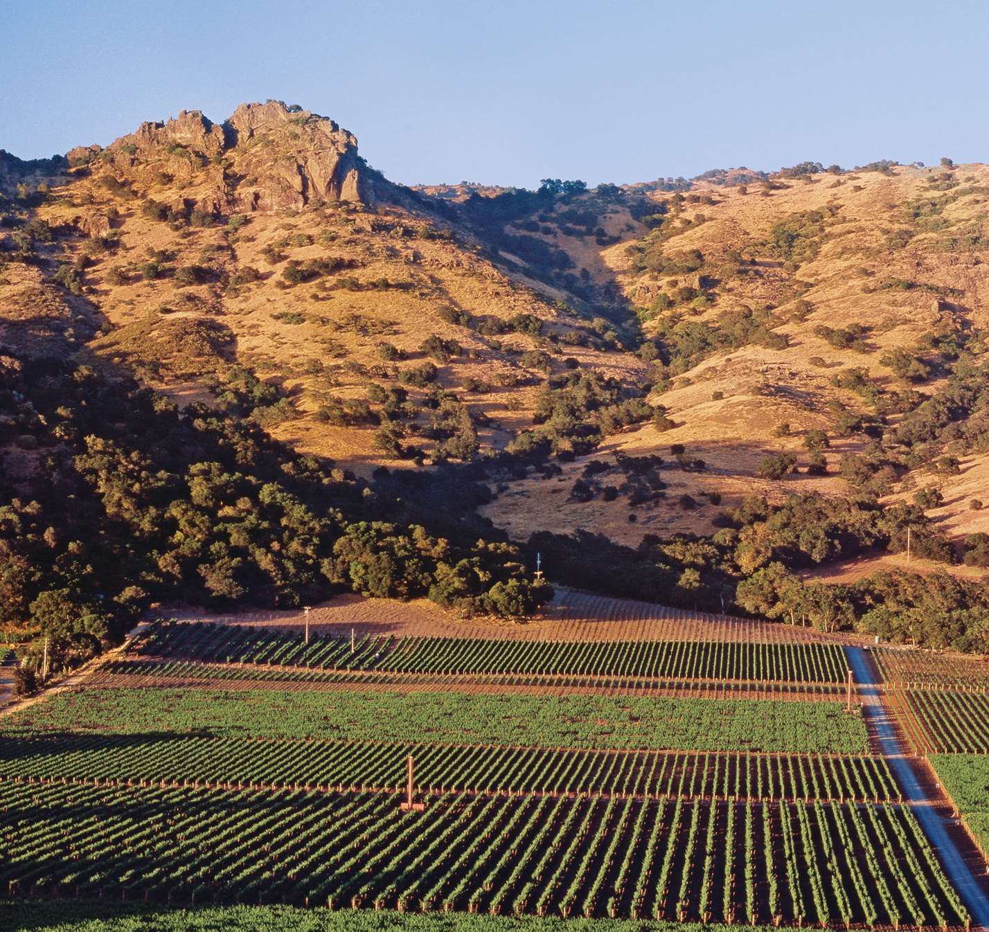 Stag's Leap Wine Cellars Winery | Vivino