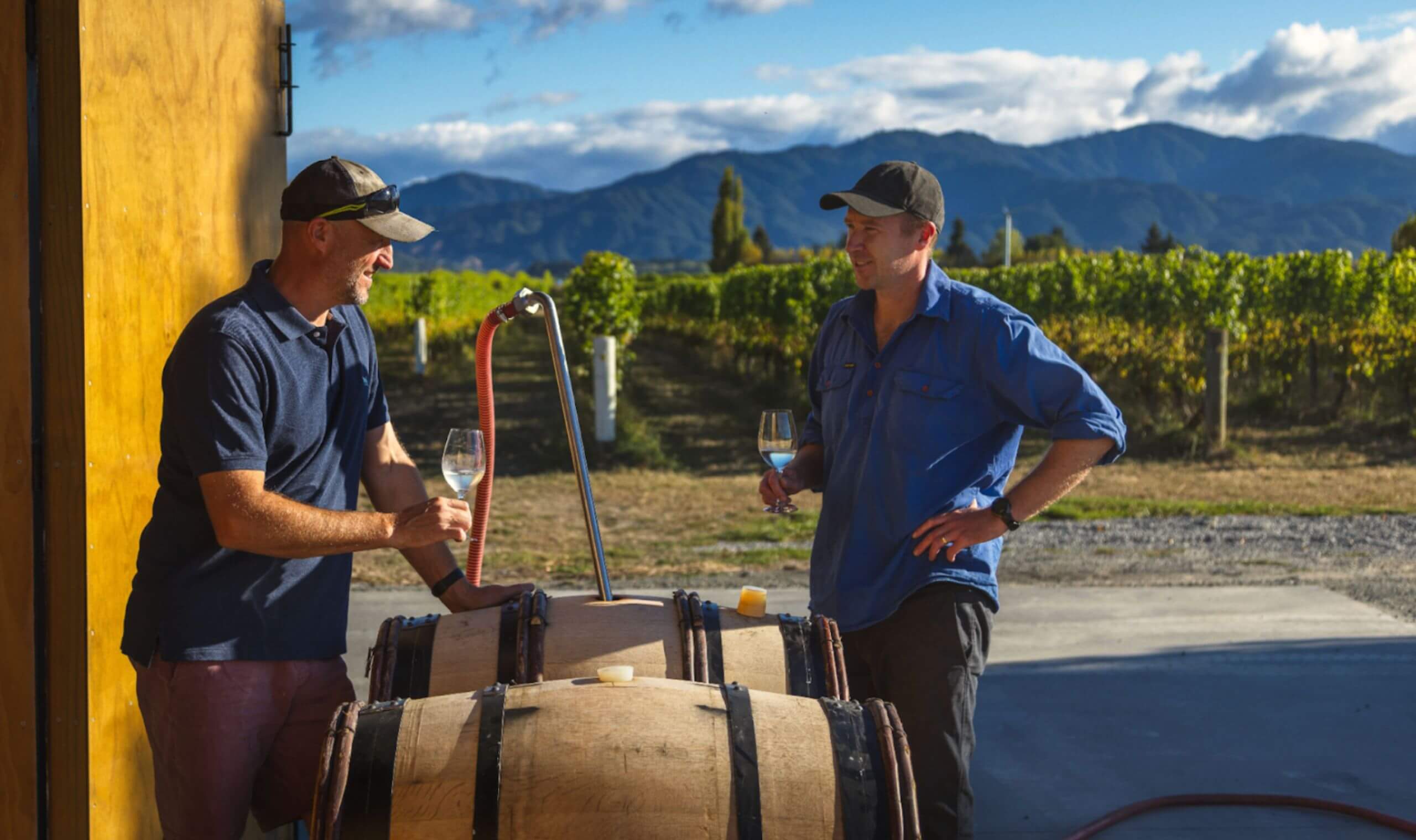 Cirro Winery | Vivino