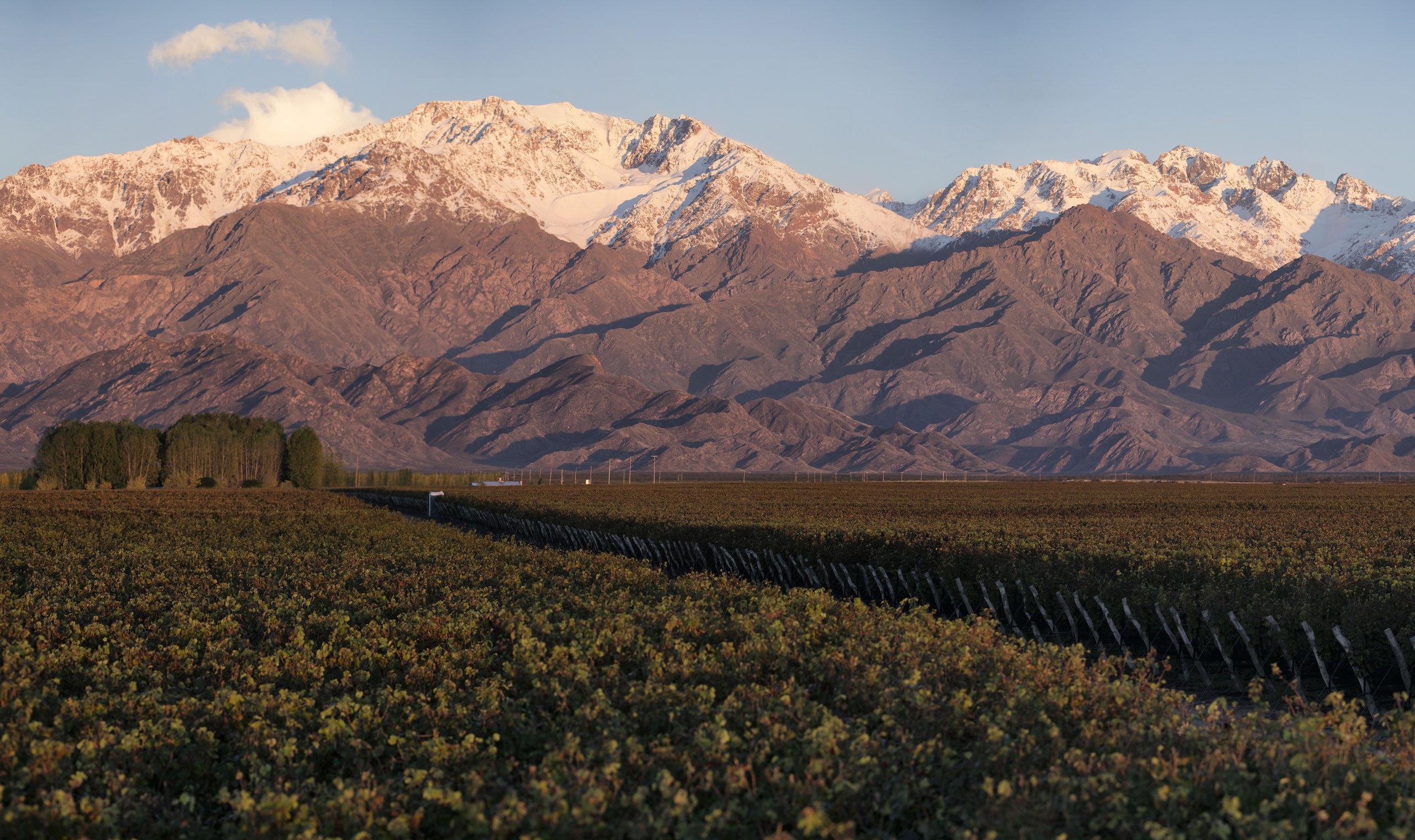 Trivento Winery | Vivino