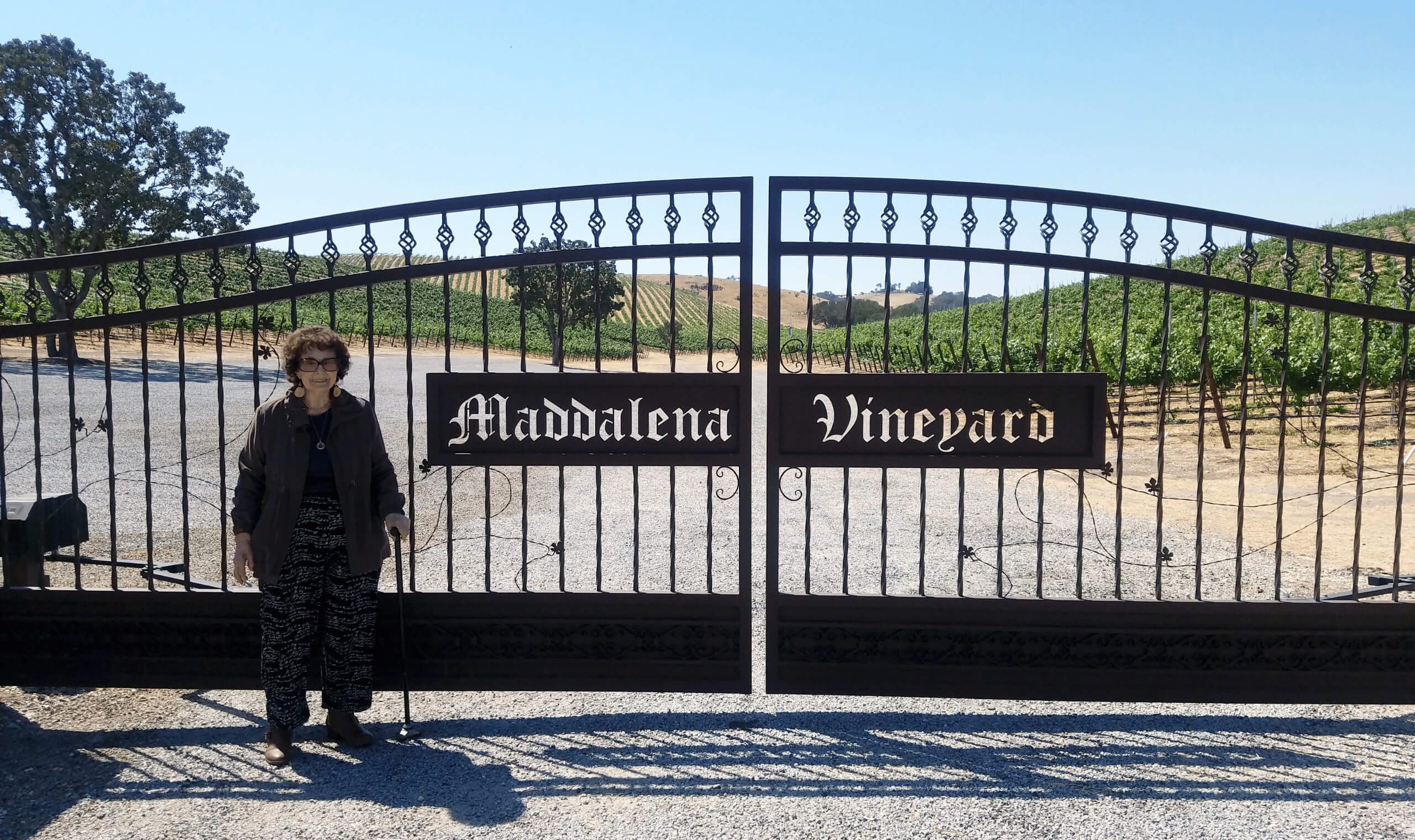 Maddalena Wines Winery | Vivino