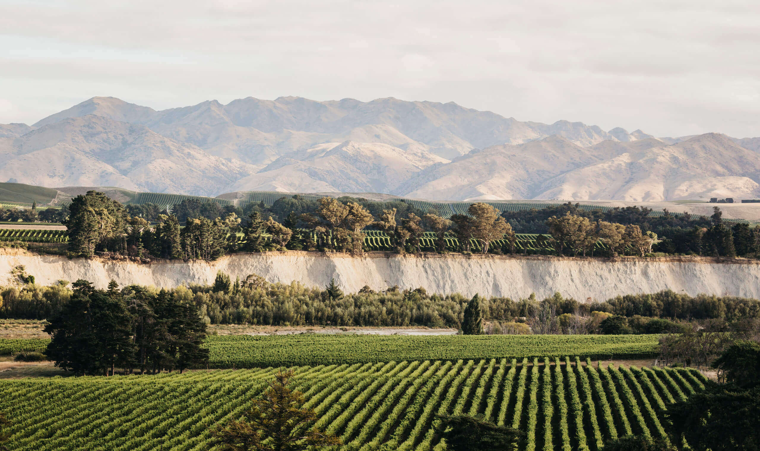 Tohu | Winery