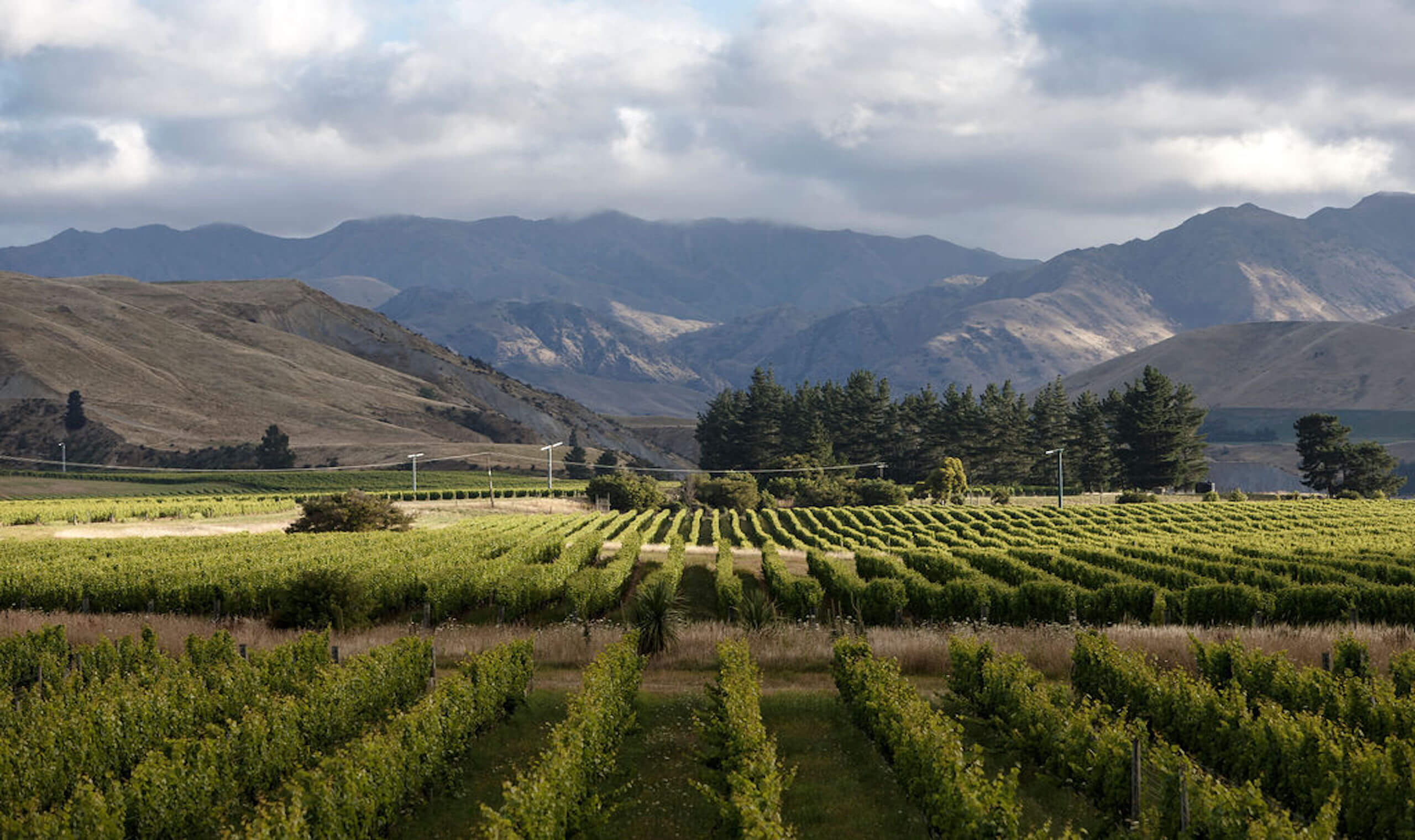 Tohu | Winery