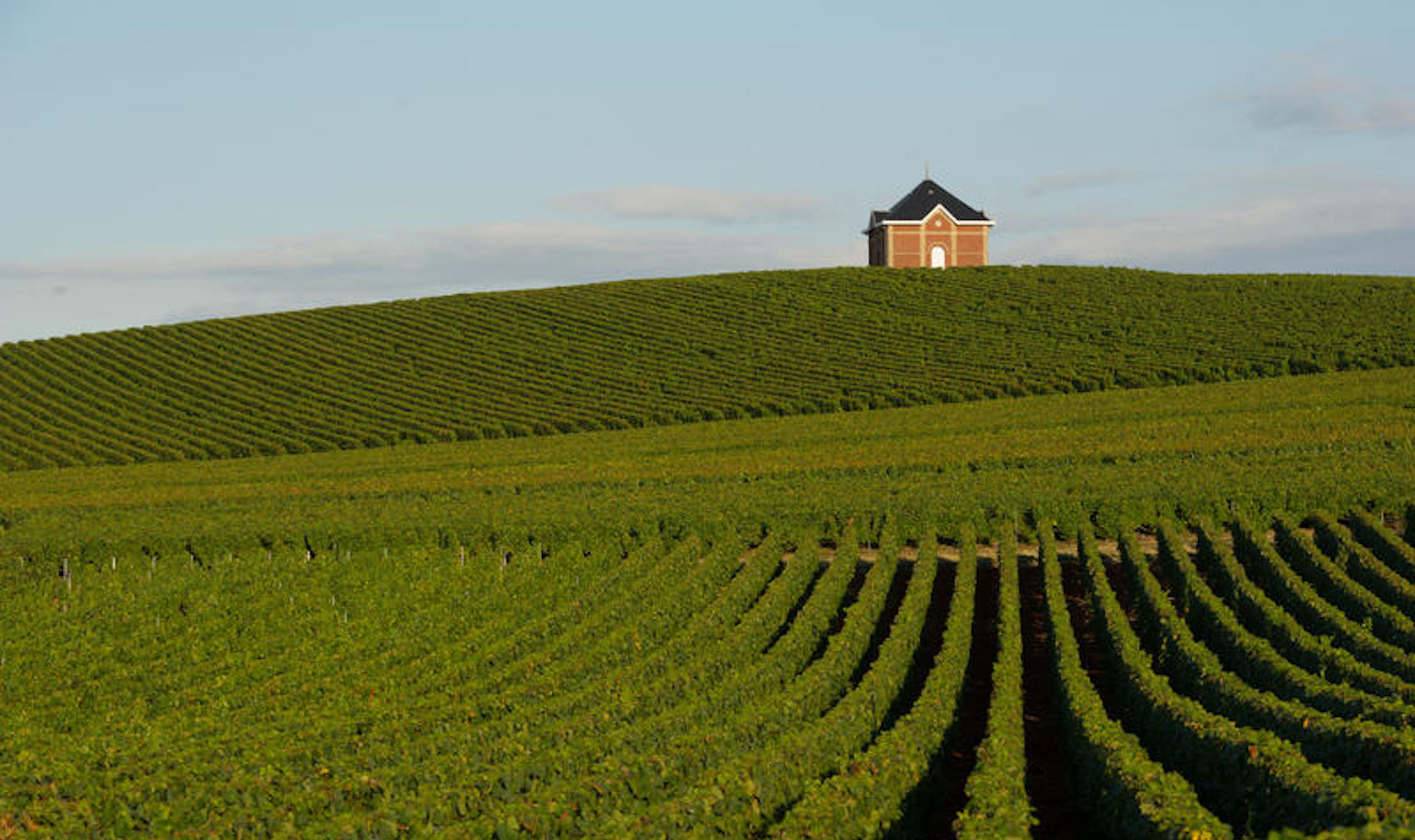 Moët & Chandon Winery | Vivino