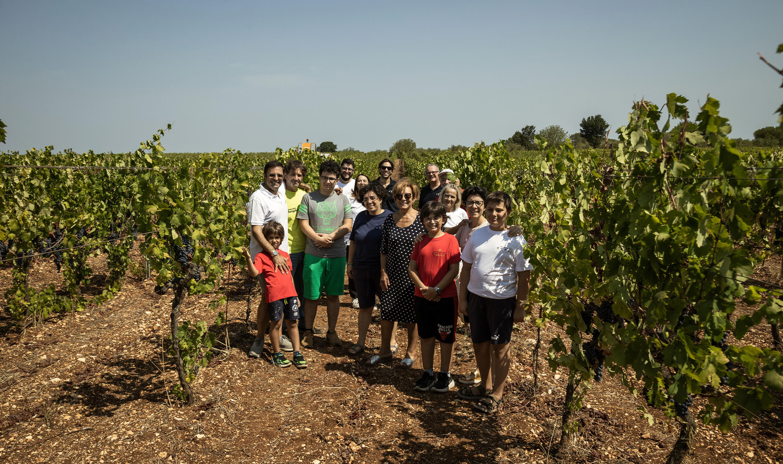 Coppi Winery | Vivino