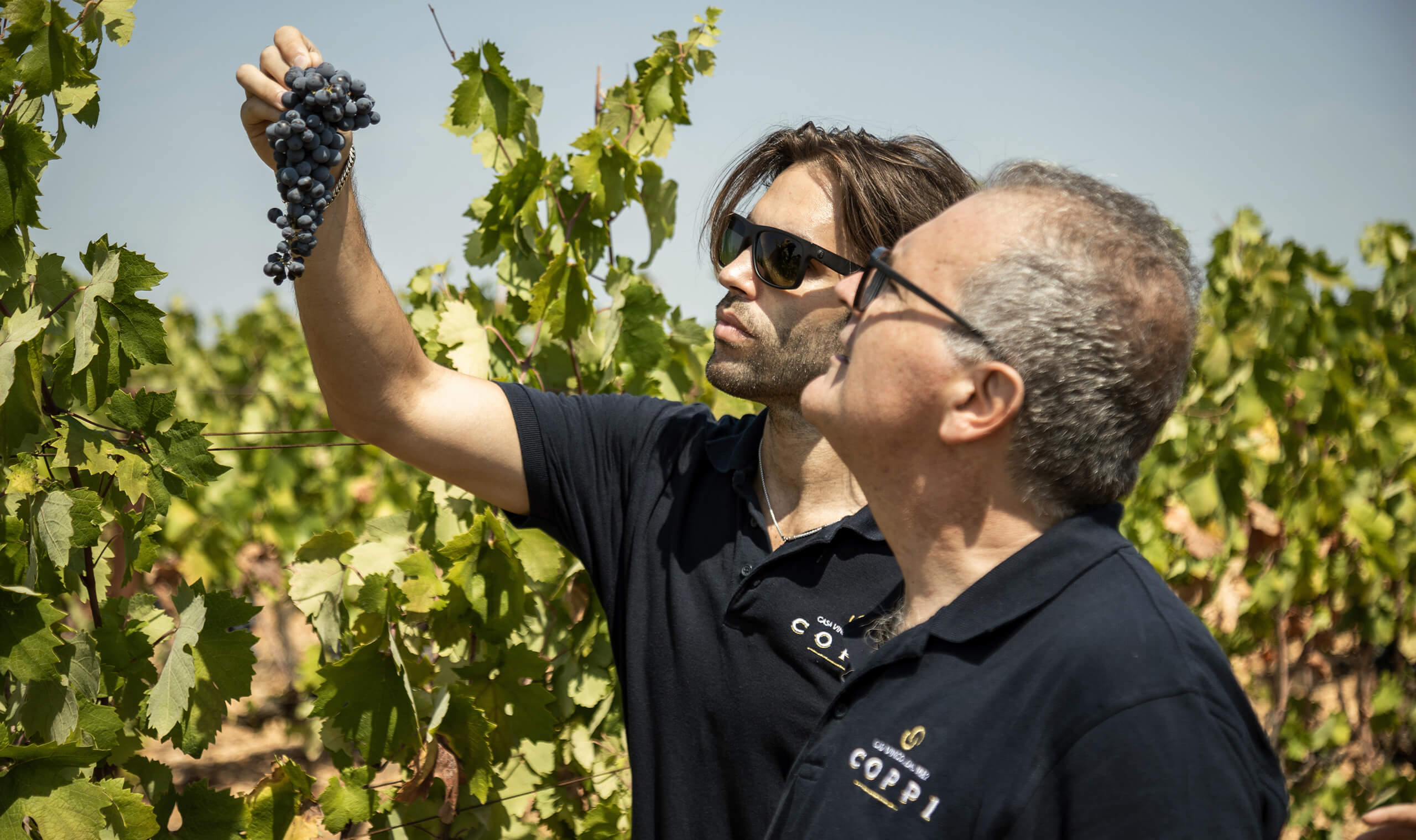 Coppi Winery | Vivino