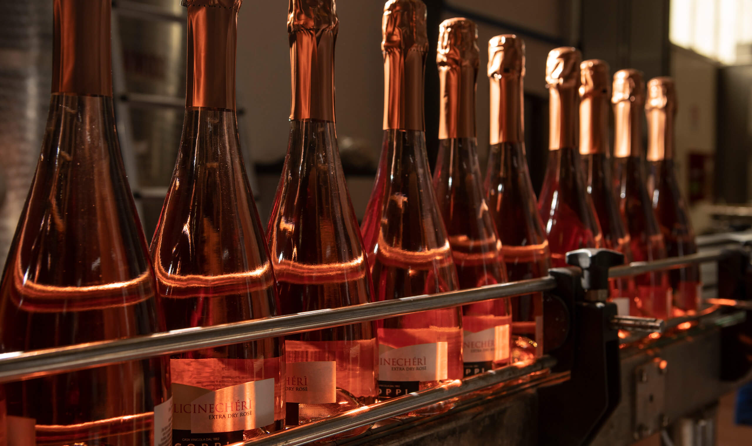 Coppi Winery | Vivino