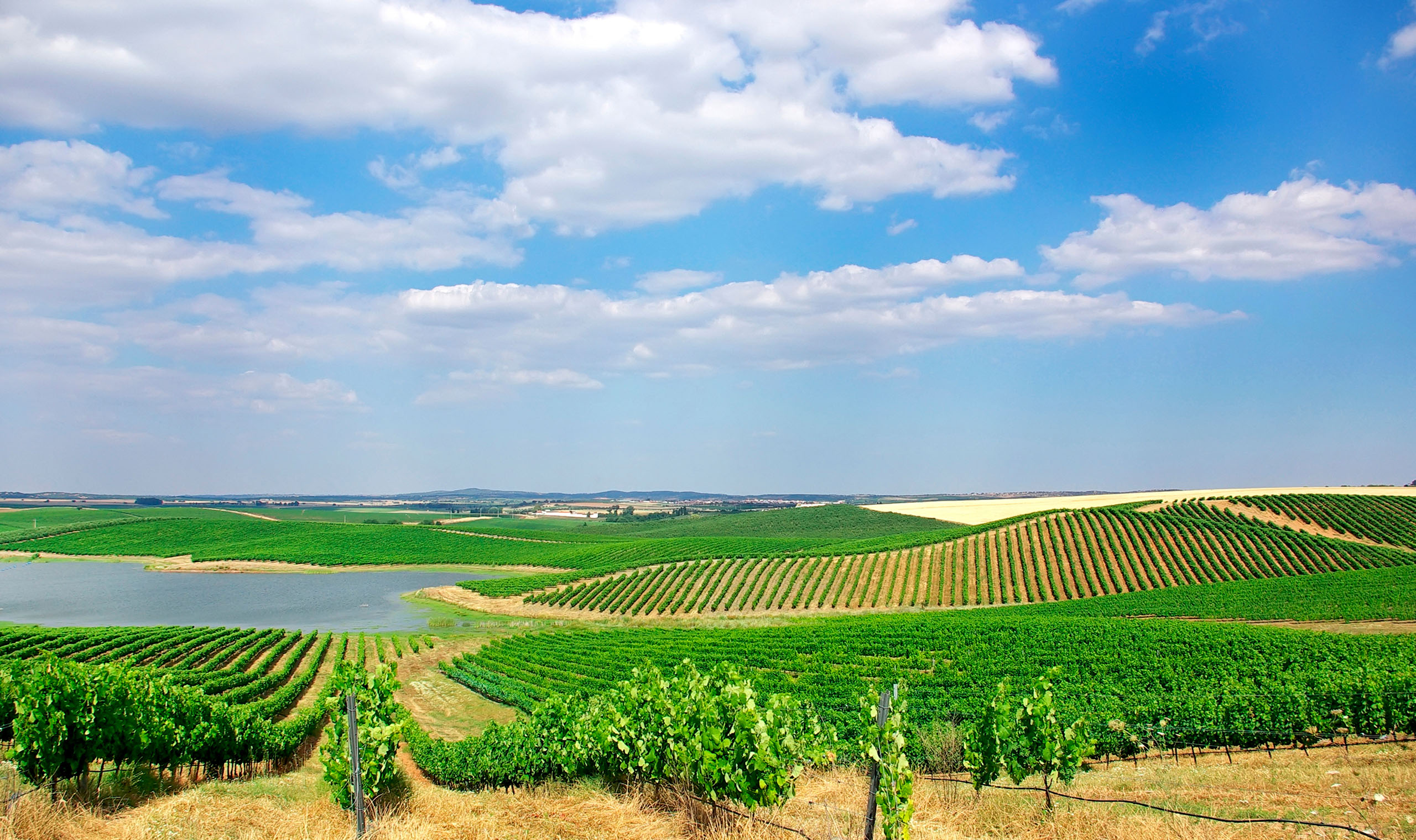Alentejo | Wine Region Guide