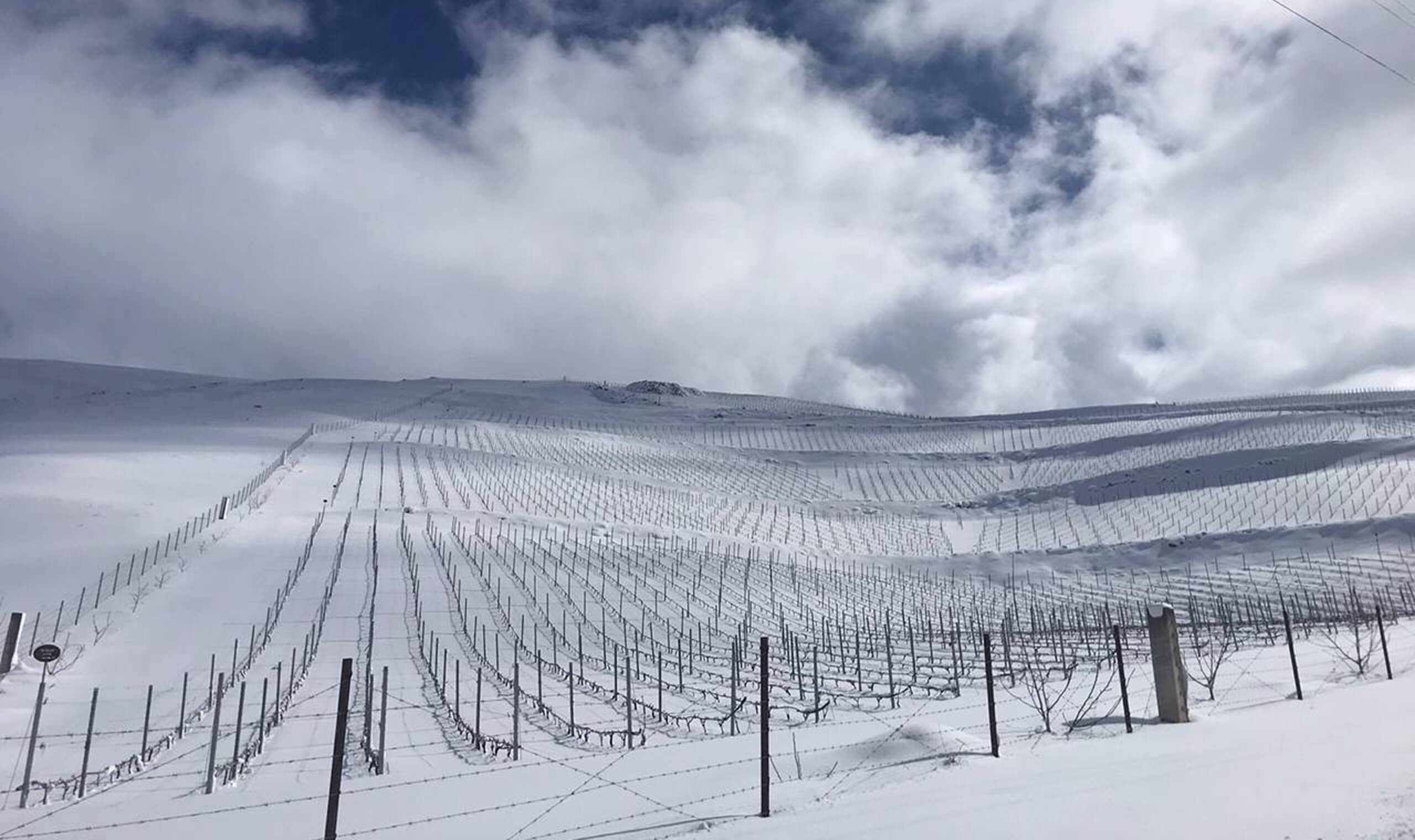Château Trois Collines Winery | Vivino