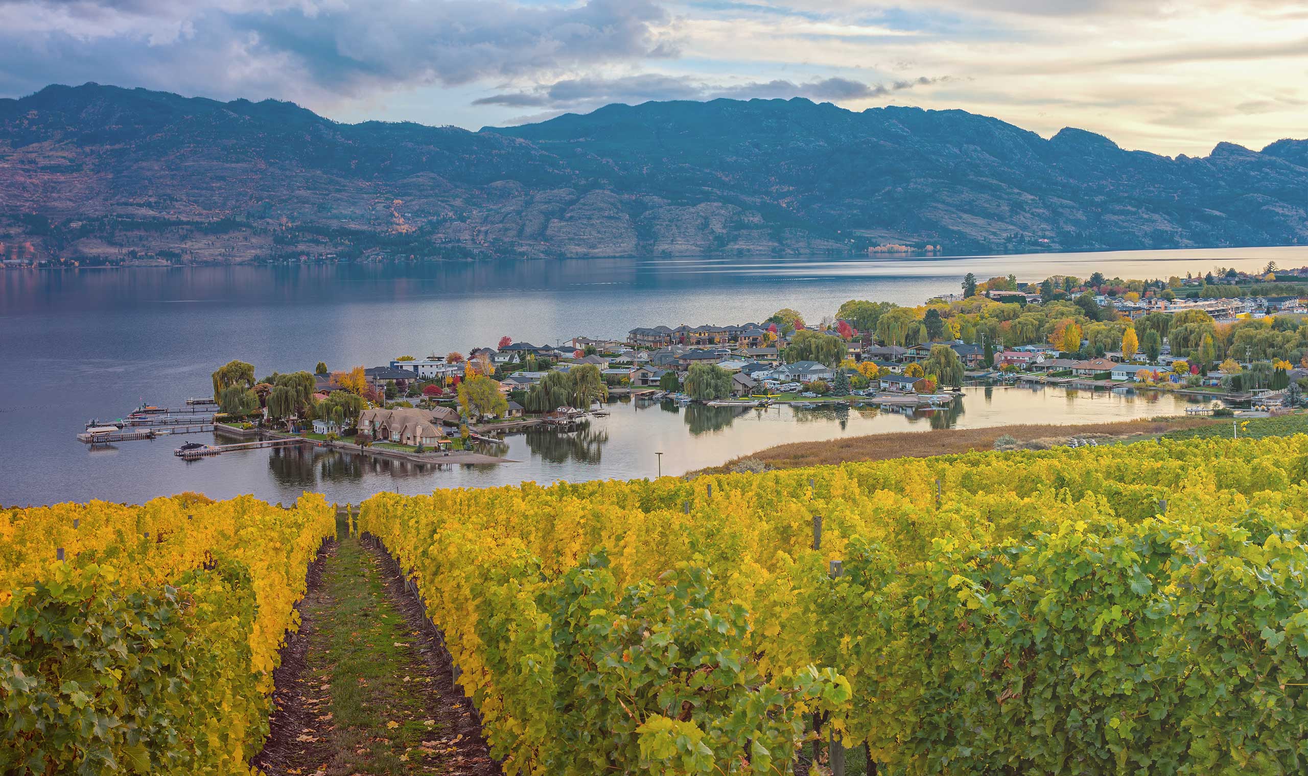 Okanagan Valley | Wine Region Guide