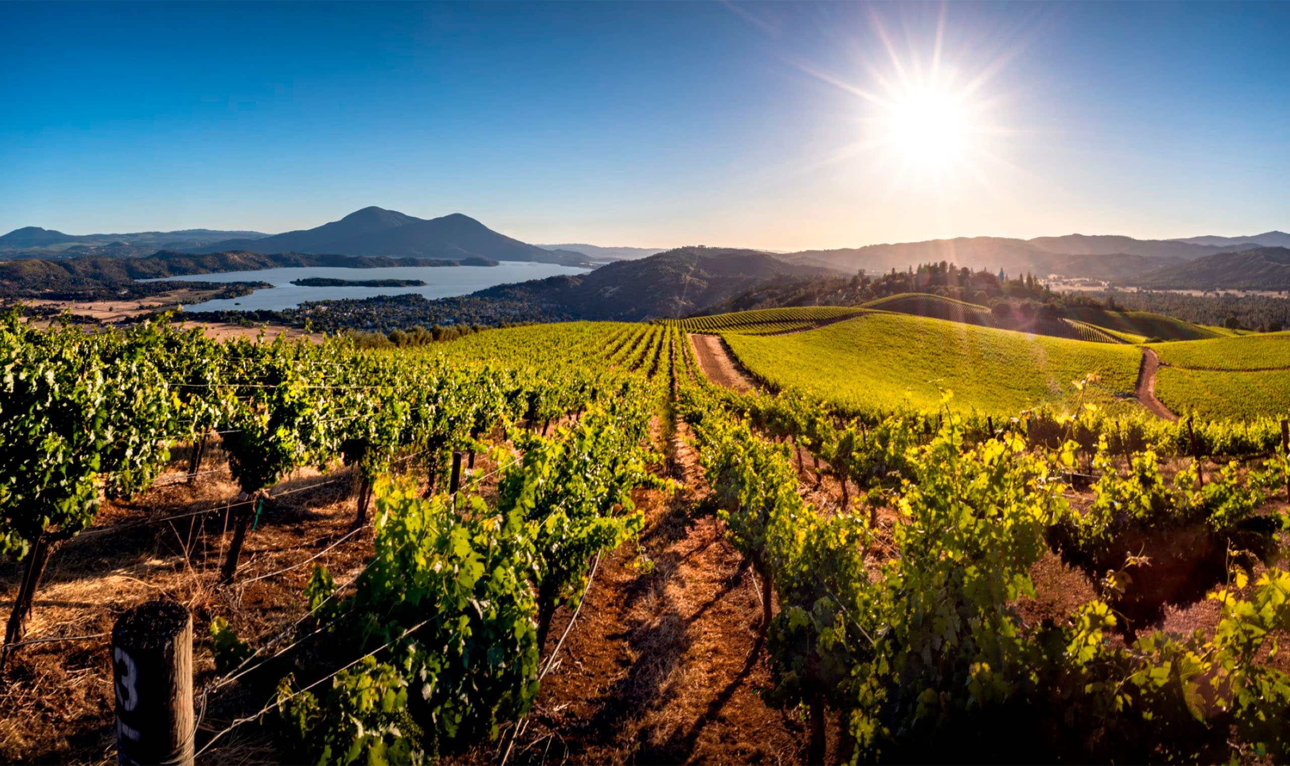 Guenoc Valley | Wine Region Guide