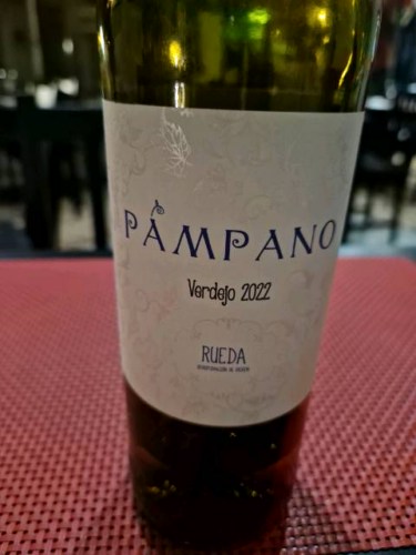 2022 Pampano Verdejo | Vivino US