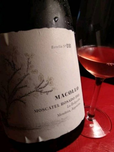 Macollo Moscatel Rosado | Vivino US
