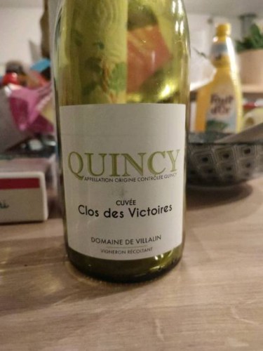 Domaine de Villalin Cuvée Clos des Victoires Quincy | Vivino US