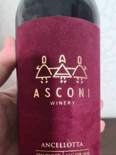 Asconi Ancellotta Dulce | Vivino English