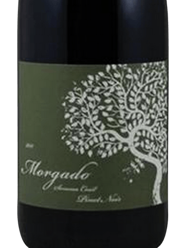 Morgado Pinot Noir | Vivino Australia