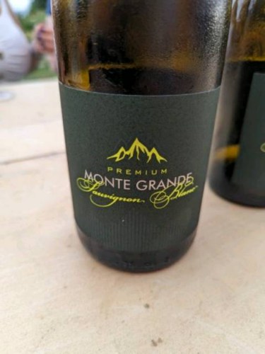 Monte Grande Premium Sauvignon Blanc | Vivino US