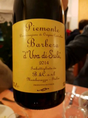 2016 B & C Srl Piemonte Barbera d'Uva Di Suli | Vivino US