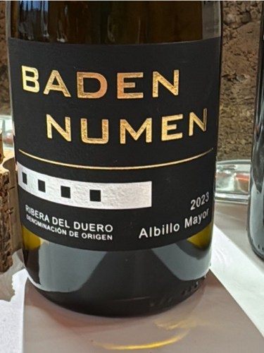 Baden Numen Albillo Mayor | Vivino US