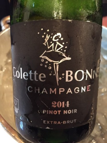 Colette Bonnet Pinot Noir Extra Brut | Vivino US