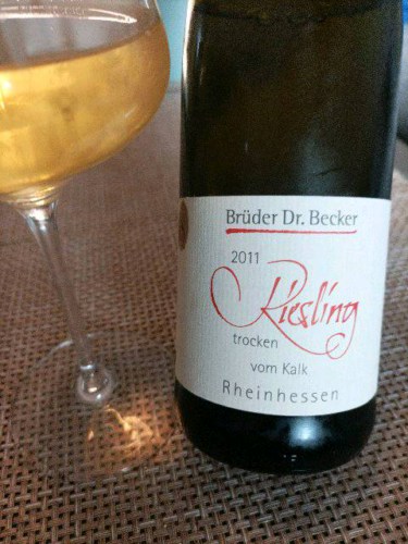 Brüder Dr. Becker Riesling Vom Kalk Trocken | Vivino US