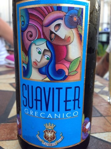 Cambria Suaviter Grecanico | Vivino Australia