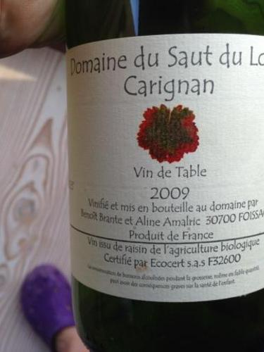 Benoit Brante Du Saut Loup Carignan Table | Vivino US