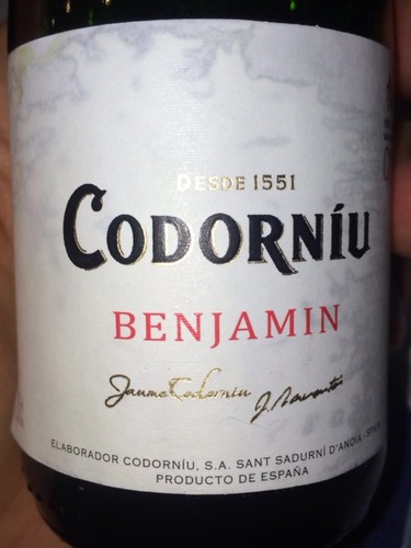 Codorníu Cava Benjamin | Vivino Australia