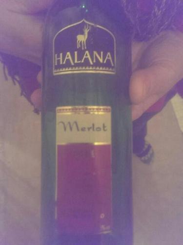 Halana Merlot | Vivino Australia