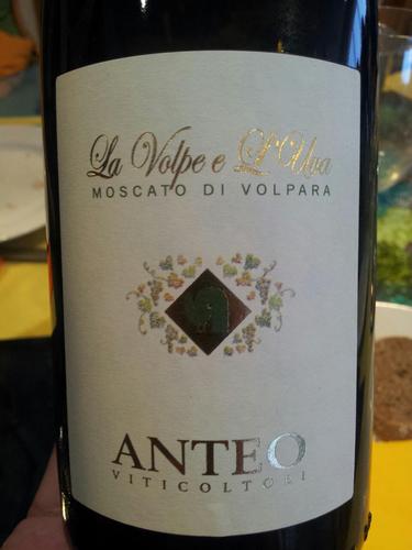 Anteo La Volpe l'Uva Moscato di Volpara | Vivino Brasil