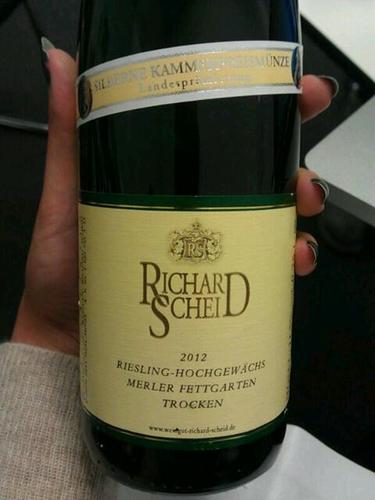 Richard Scheid Hochgewächs Merler Fettgarten Riesling Trocken | Vivino