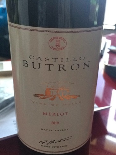 Castillo Burton Merlot | Vivino US
